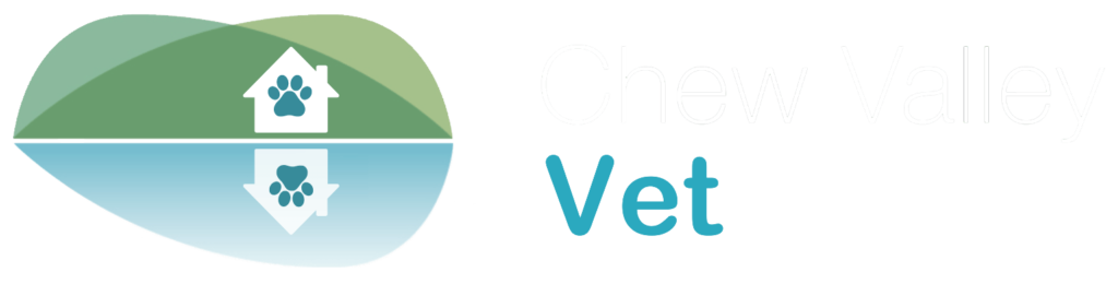 Home Visit Vet Services at Chew Valley Vet | Comprehensive Care